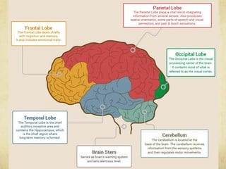 Lecture 3 - The Creative Process | PDF