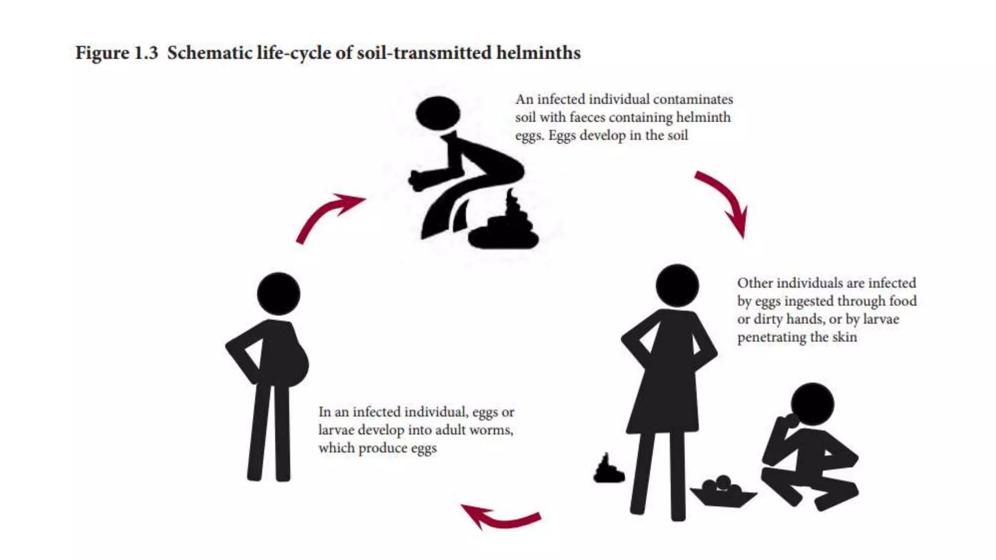 oplan alis bulate | PPTX