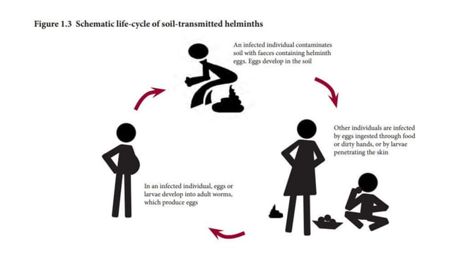 oplan alis bulate | PPTX
