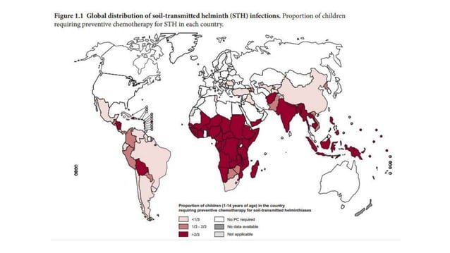 oplan alis bulate | PPTX