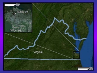 Vs5 review, 2008[1] | PPT