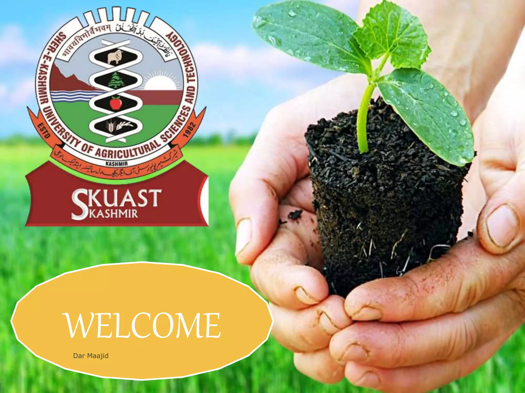 Breeding for insect pest stress in vegetable crops | PPTX