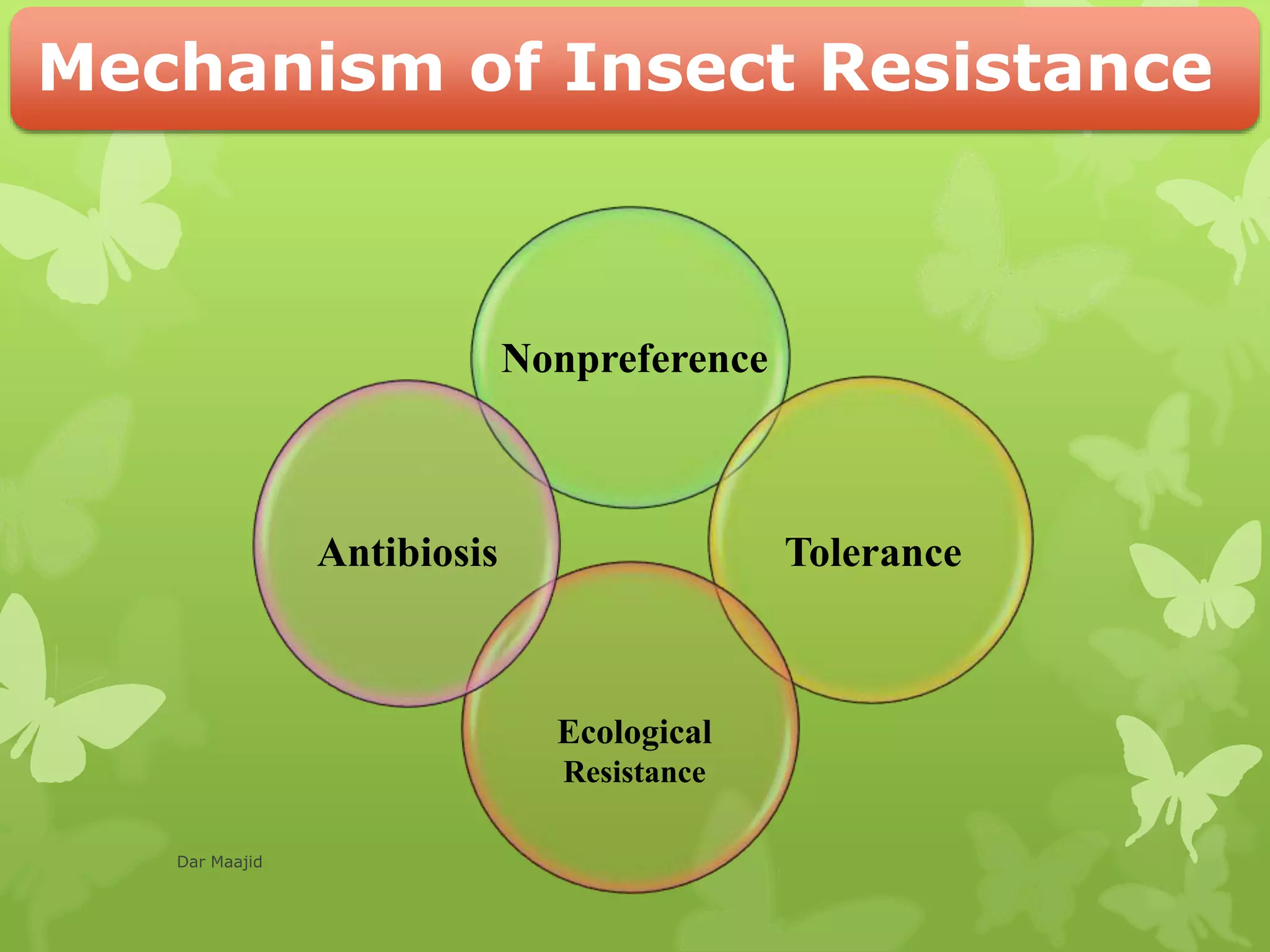 Breeding for insect pest stress in vegetable crops | PPTX