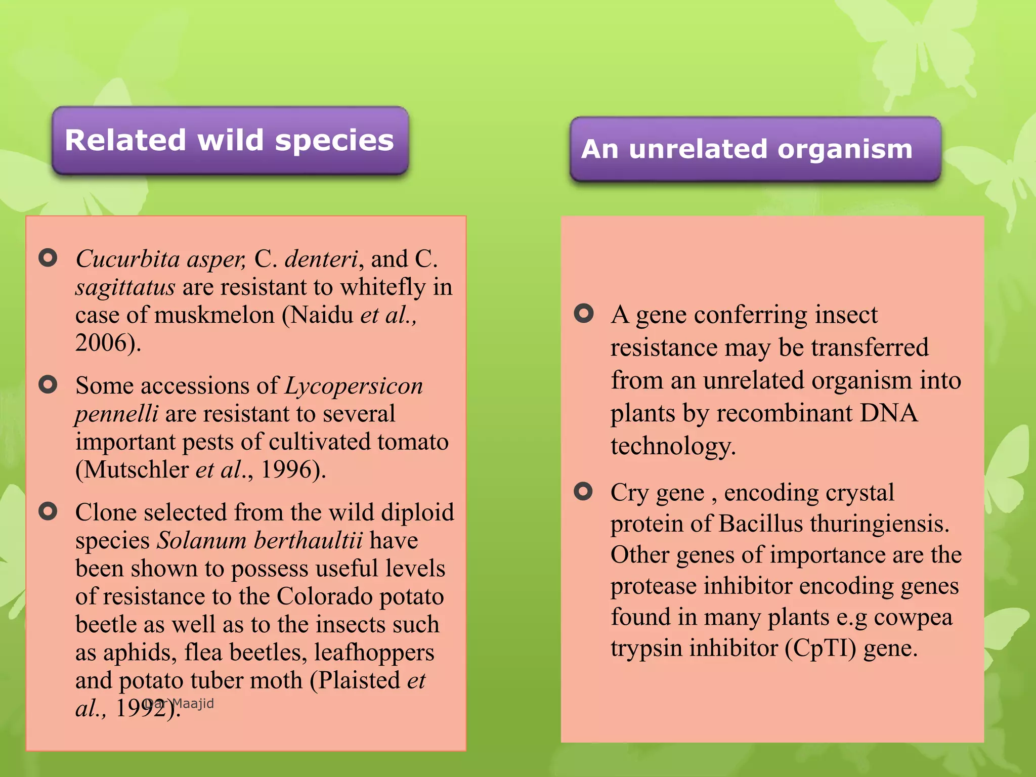 Breeding for insect pest stress in vegetable crops | PPTX