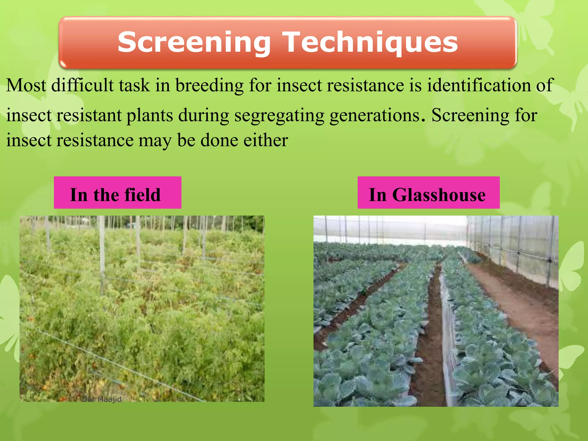 Breeding for insect pest stress in vegetable crops | PPTX