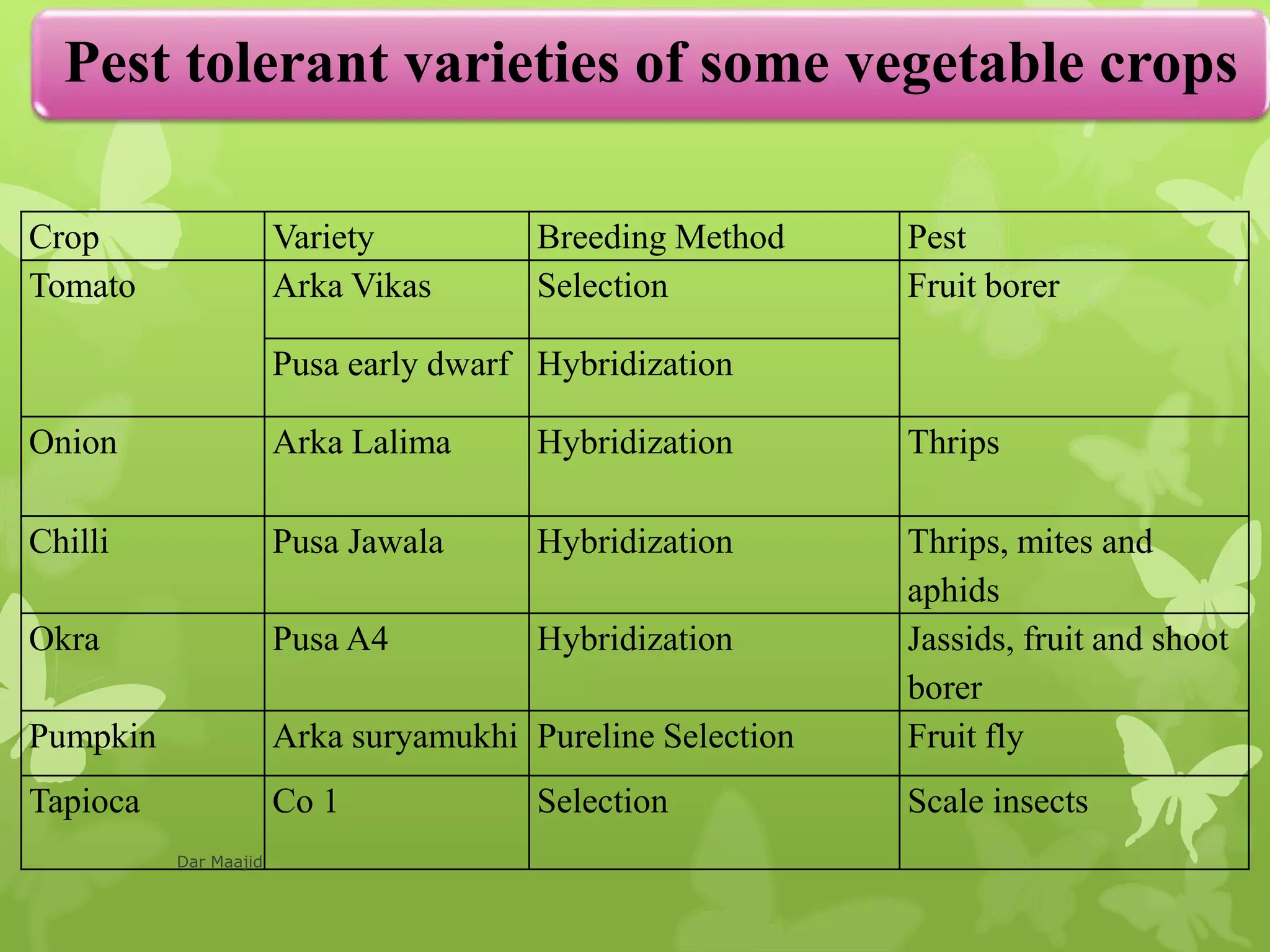 Breeding for insect pest stress in vegetable crops | PPTX