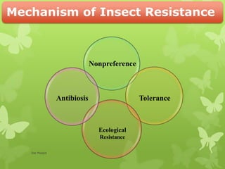 Breeding for insect pest stress in vegetable crops | PPTX | Agriculture ...
