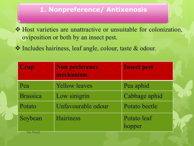 Breeding for insect pest stress in vegetable crops | PPTX | Agriculture ...