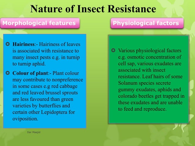 Breeding for insect pest stress in vegetable crops | PPTX | Agriculture ...