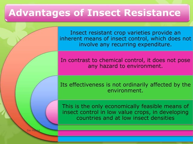 Breeding for insect pest stress in vegetable crops | PPTX | Agriculture ...