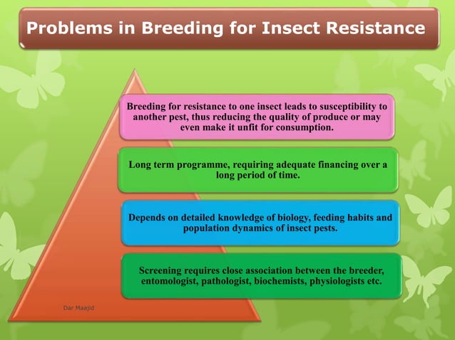 Breeding for insect pest stress in vegetable crops | PPTX | Agriculture ...