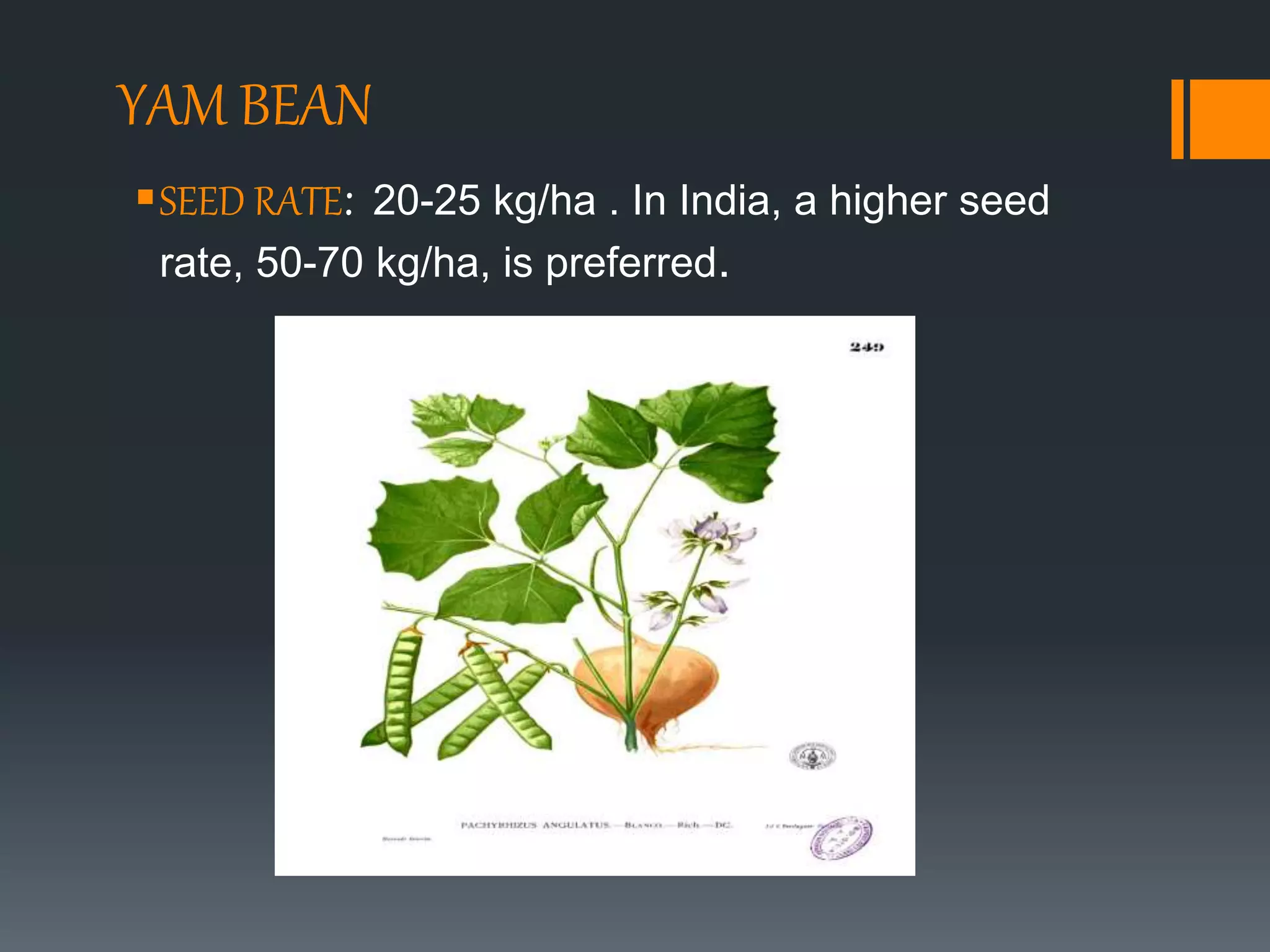 vsc102 ID NO 12.pptx