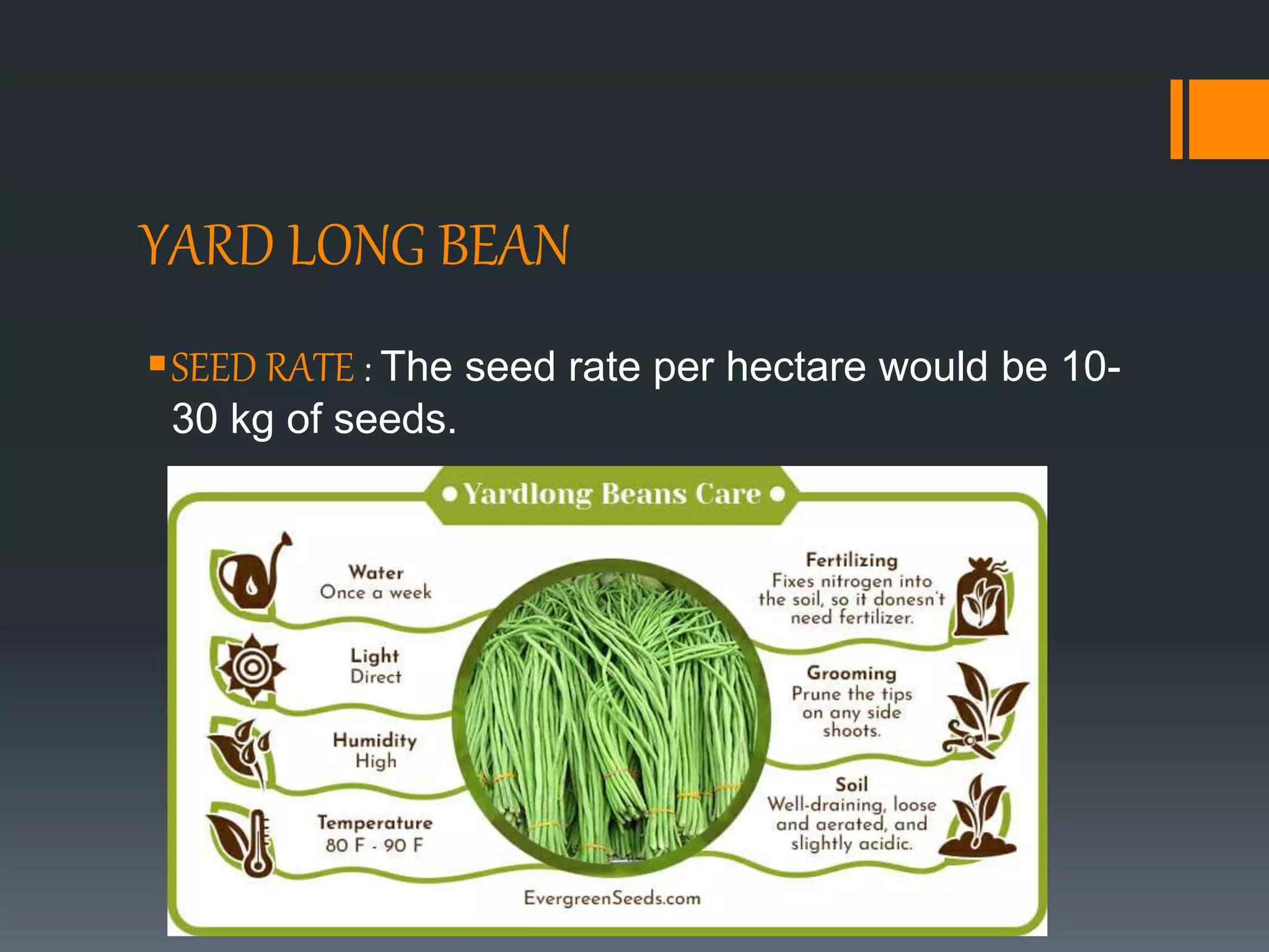 vsc102 ID NO 12.pptx