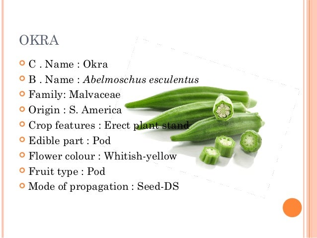 Vsc vegetables description