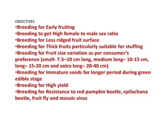 VSC 301 BITTER GOURD production and breeding | PPTX