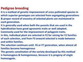 VSC 301 BITTER GOURD production and breeding | PPTX