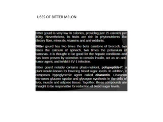 VSC 301 BITTER GOURD production and breeding | PPTX