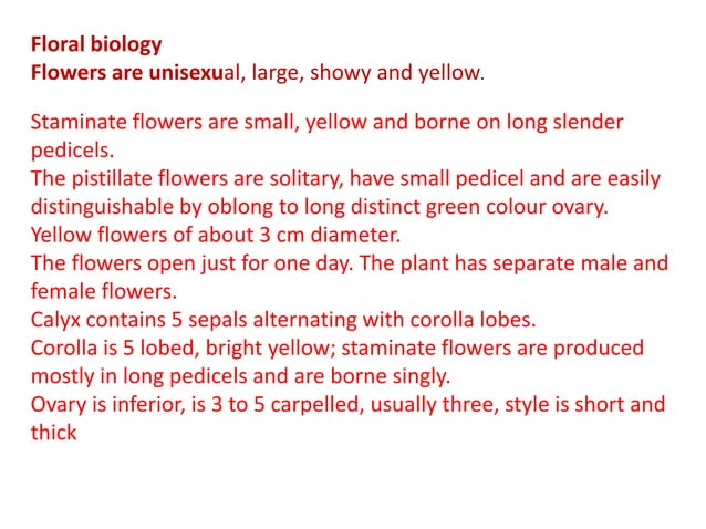 VSC 301 BITTER GOURD production and breeding | PPT