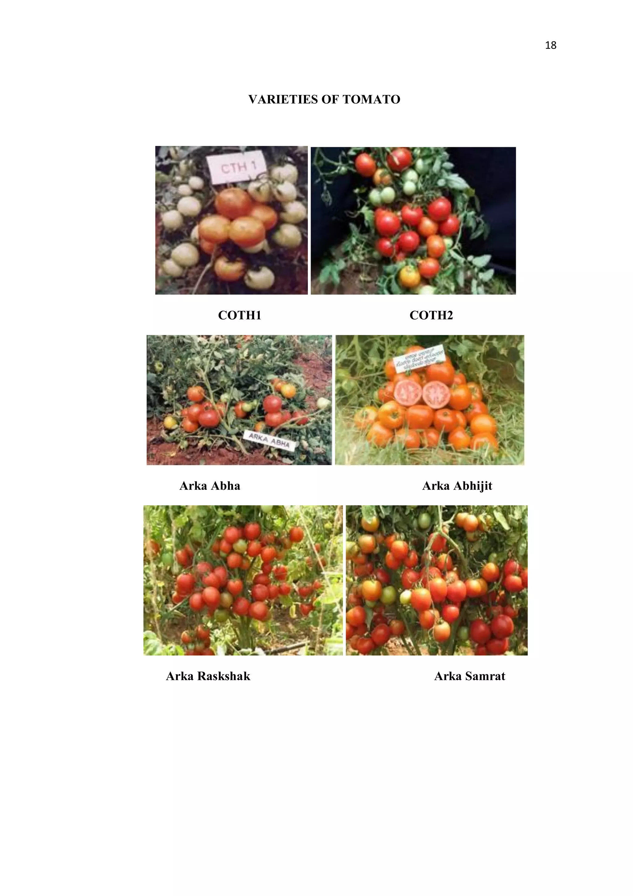 Vsc 611 breeding of vegetable crops | PDF | Agriculture | Industries