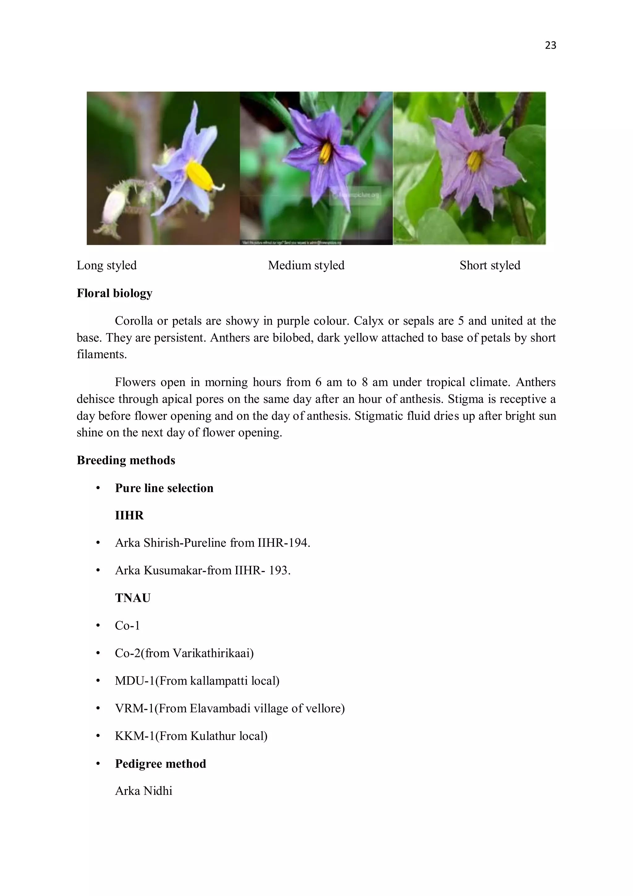 Vsc 611 breeding of vegetable crops | PDF