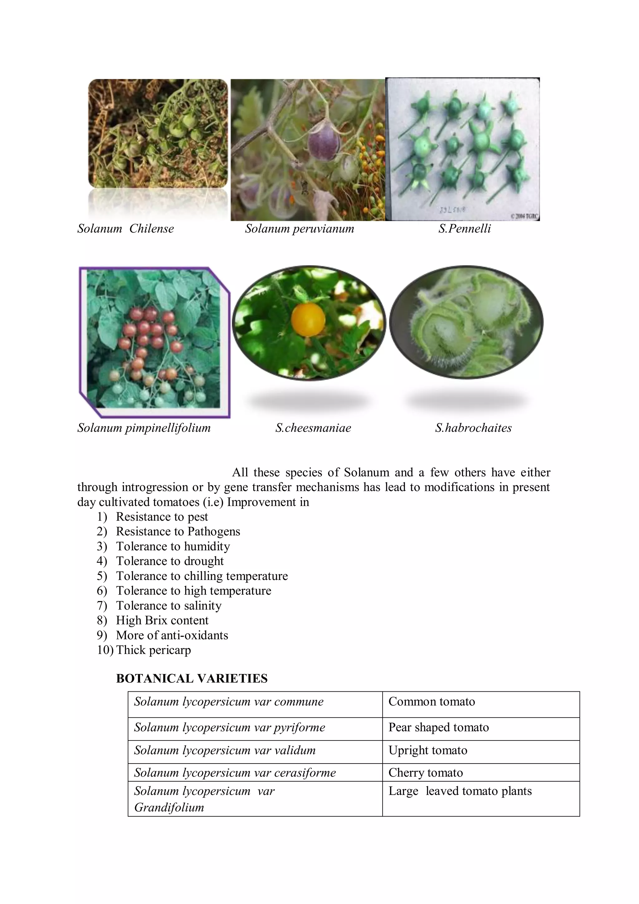 Vsc 611 breeding of vegetable crops | PDF