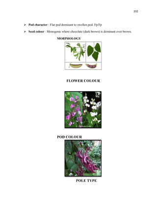 Vsc 611 breeding of vegetable crops | PDF