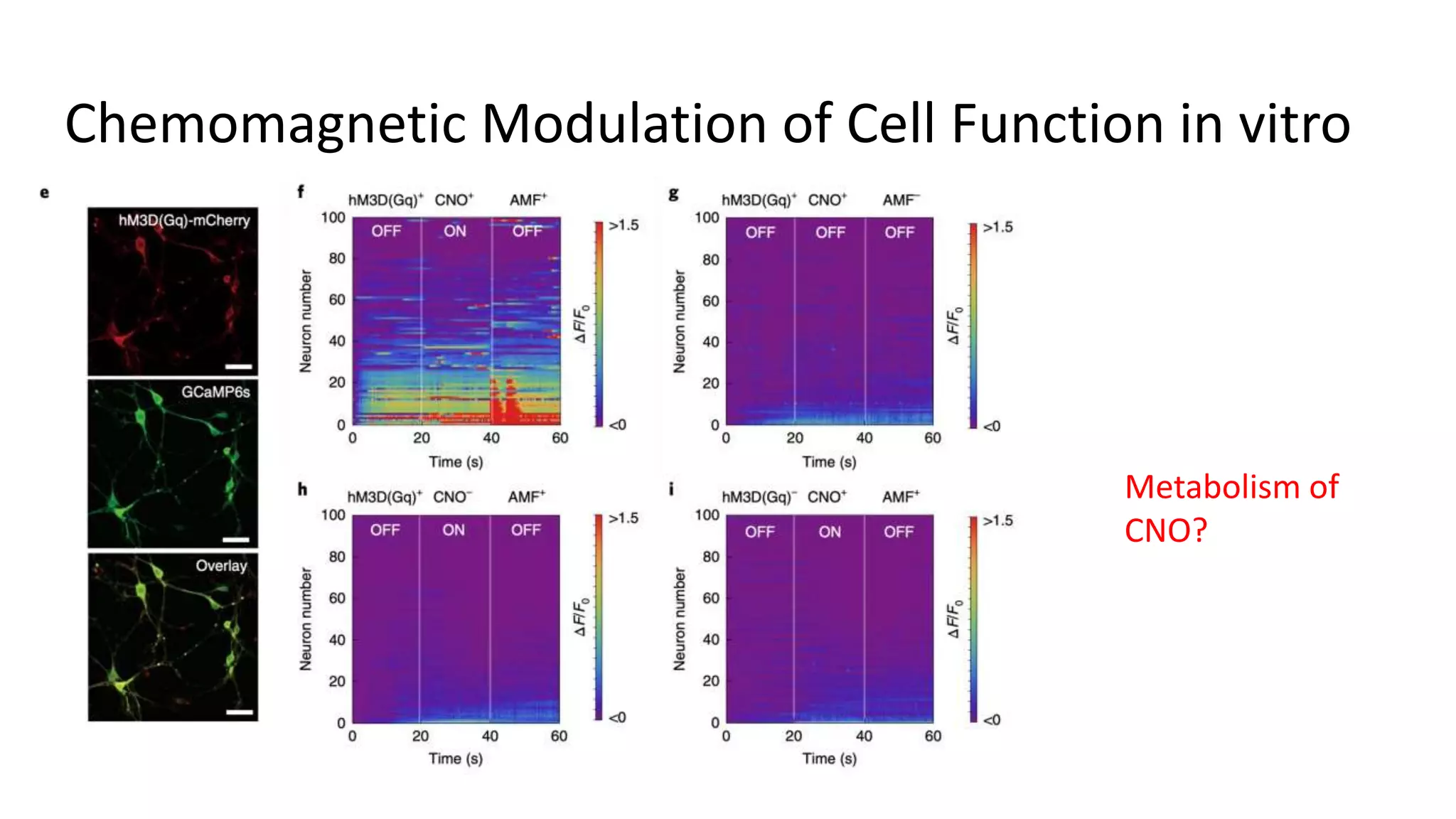 Remotely Controlled Chemomagnetic Modulation of Targeted Neural ...