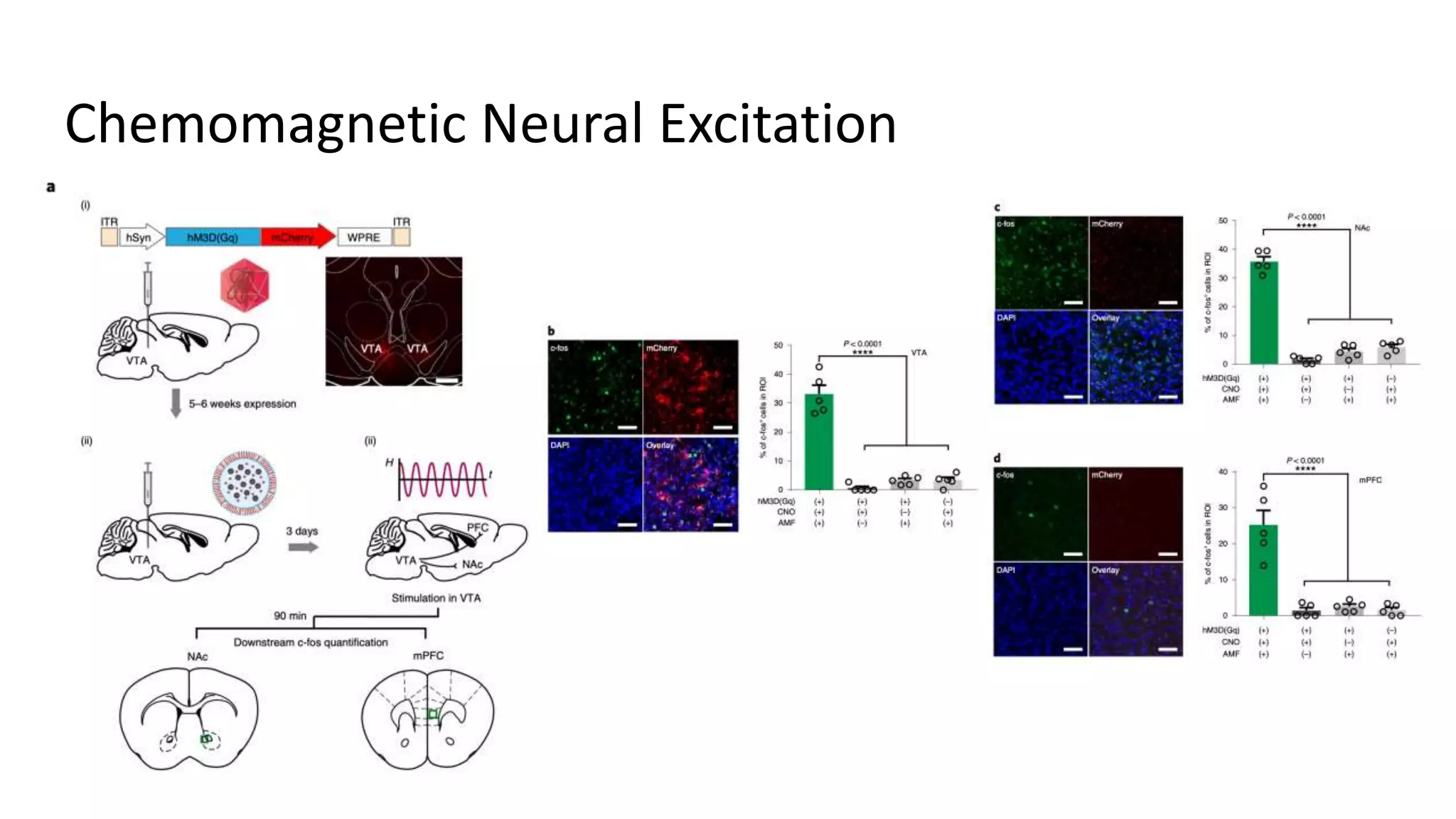 Remotely Controlled Chemomagnetic Modulation of Targeted Neural ...