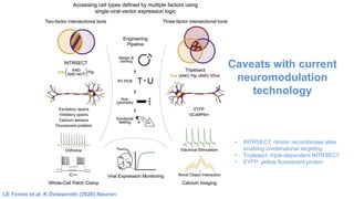 Remotely Controlled Chemomagnetic Modulation of Targeted Neural ...