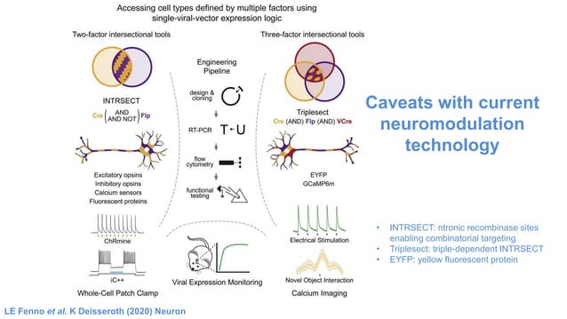 Remotely Controlled Chemomagnetic Modulation of Targeted Neural ...