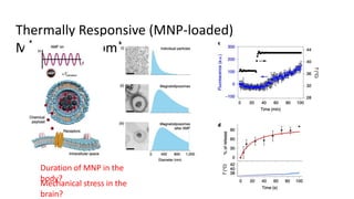 Remotely Controlled Chemomagnetic Modulation of Targeted Neural ...