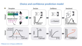 Behavior- and Modality-General Representation of Confidence in Orbitofrontal Cortex | PPTX ...