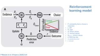 Behavior- and Modality-General Representation of Confidence in Orbitofrontal Cortex | PPTX ...
