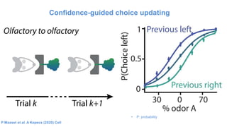 Behavior- and Modality-General Representation of Confidence in Orbitofrontal Cortex | PPTX ...