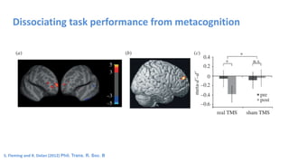 Behavior- and Modality-General Representation of Confidence in Orbitofrontal Cortex | PPTX ...