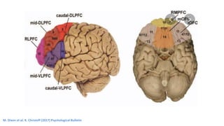 Behavior- and Modality-General Representation of Confidence in ...