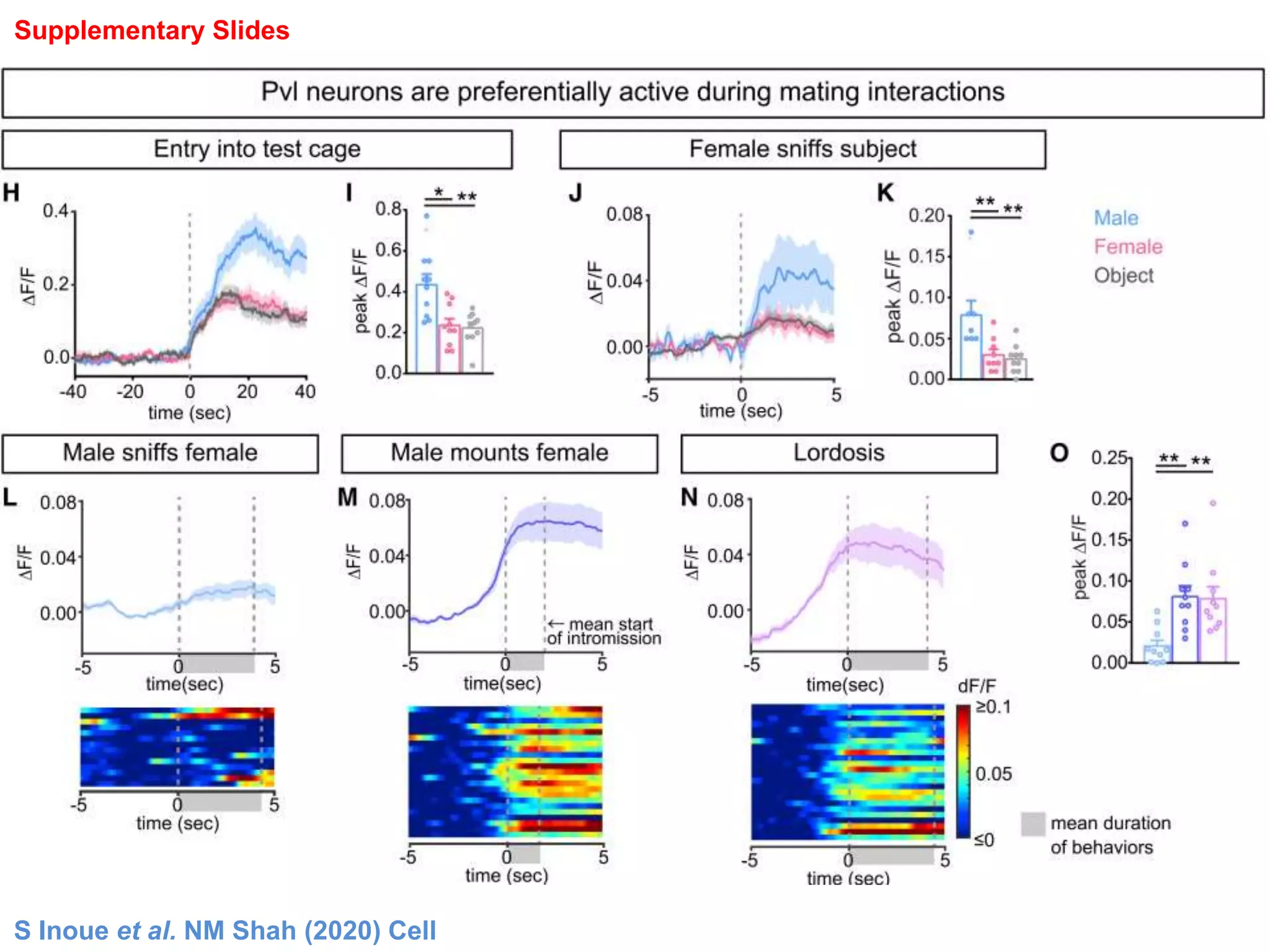 Periodic Remodeling In A Neural Circuit Governs Timing Of Female Sexual