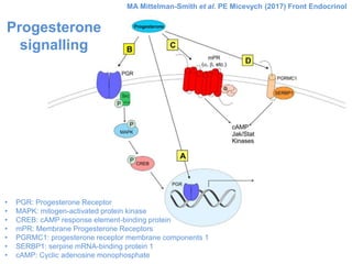 Periodic Remodeling in a Neural Circuit Governs Timing of Female Sexual ...