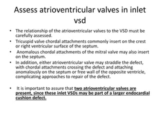 Ventricular Septal defects Echocardiography | PPTX