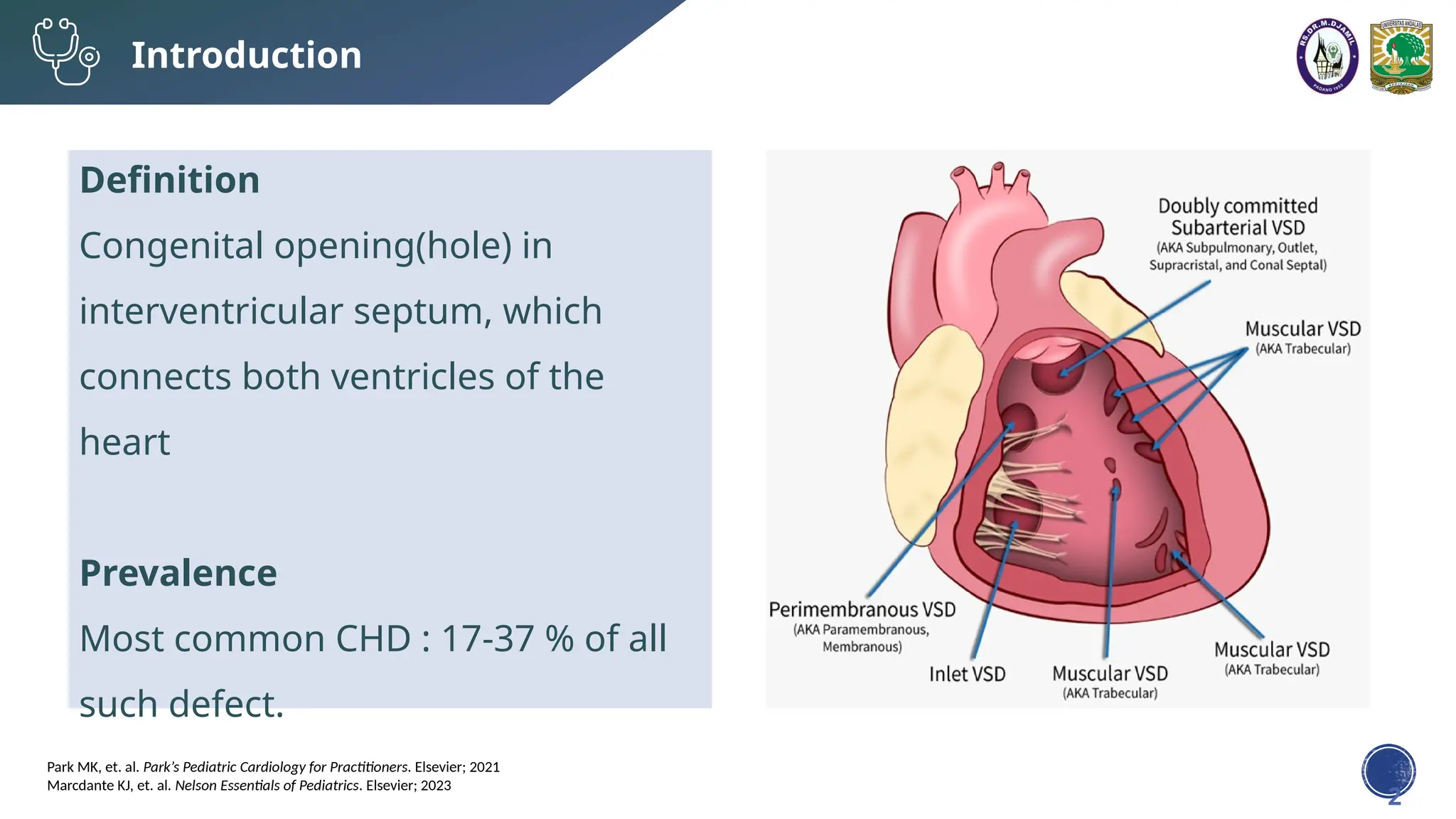 VSD (congenital heart disease explained).pptx