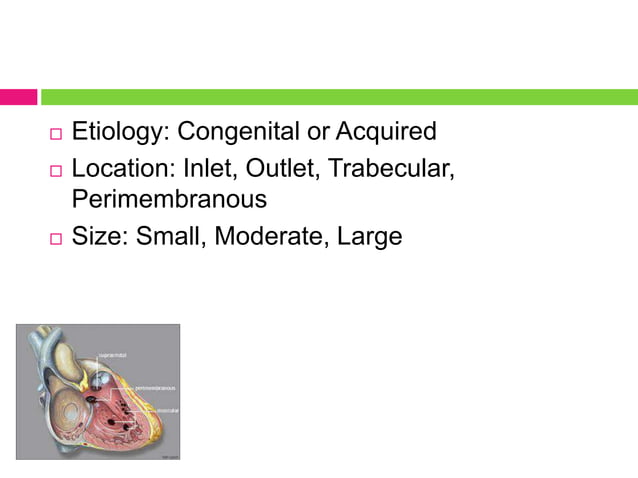 Vsd device closure | PPTX