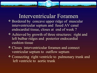 Vsd embryology | PPT