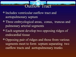 Vsd embryology | PPT