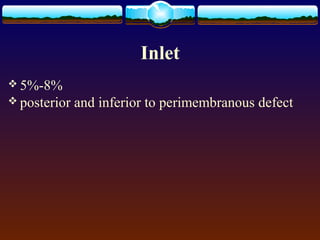 Vsd embryology | PPT