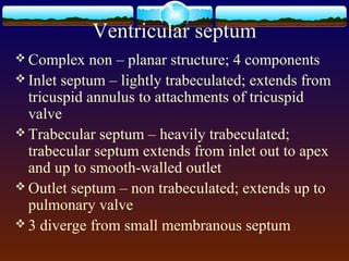 Vsd embryology | PPT