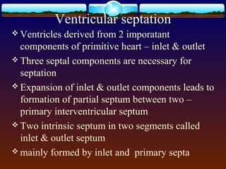 Vsd embryology | PPT