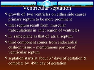 Vsd embryology | PPT