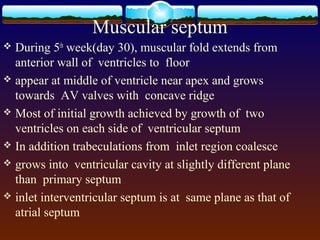 Vsd embryology | PPT