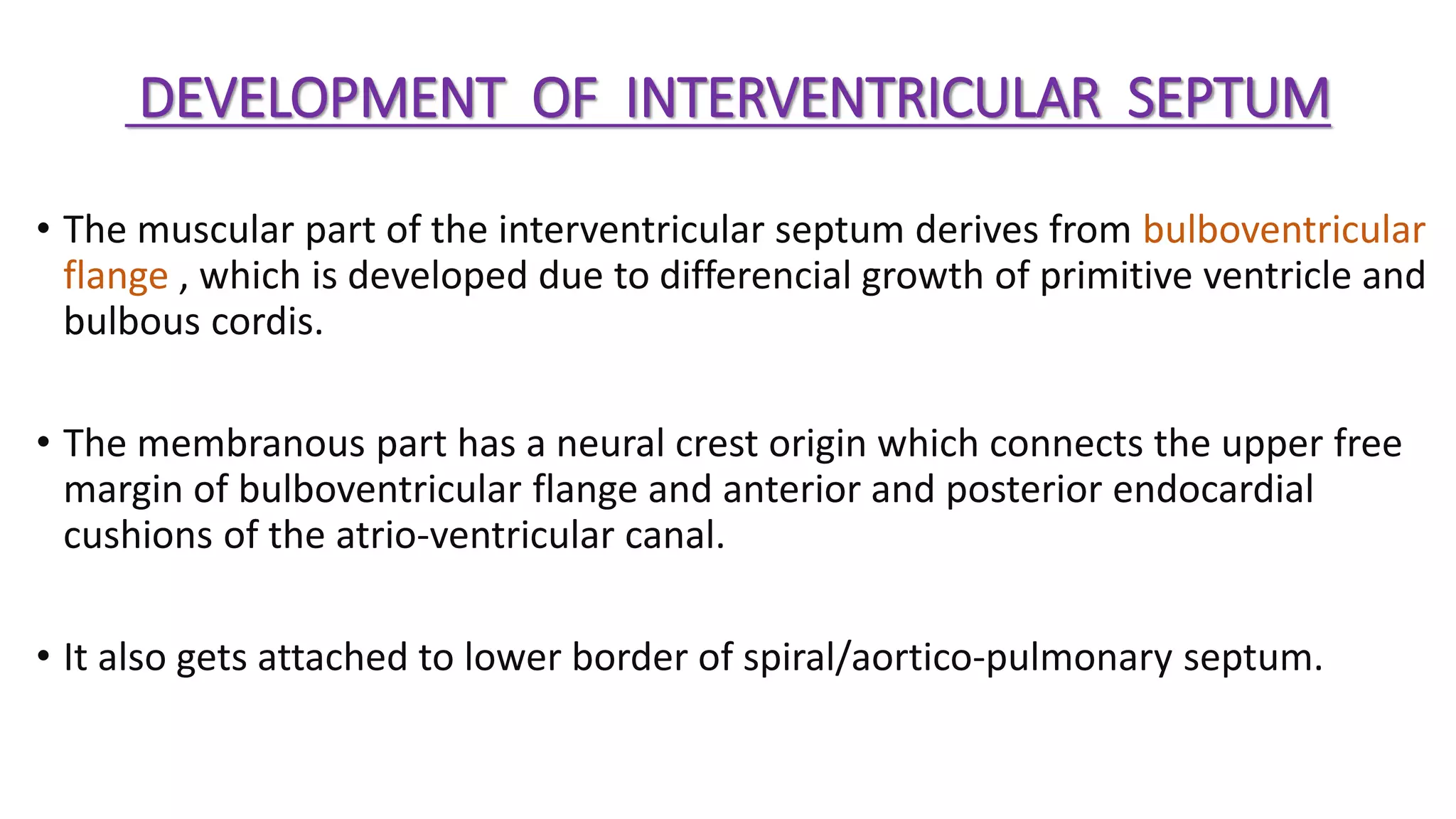 Ventricular Septal Defects | PPTX