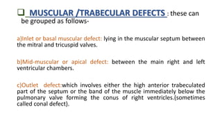 Ventricular Septal Defects | PPTX | Heart and Cardiovascular Diseases ...